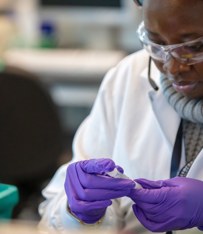 MSD i Norge | MSD Norge