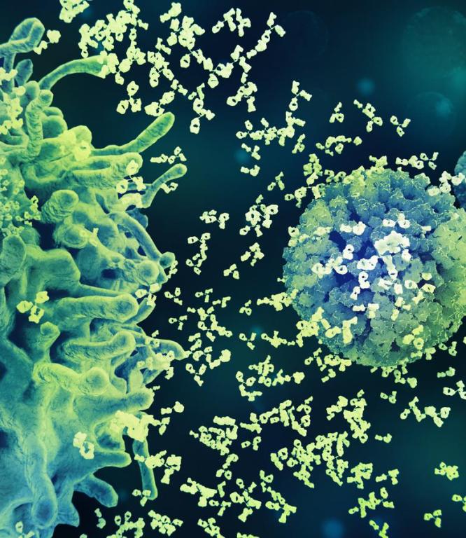 MSD i Norge | MSD Norge