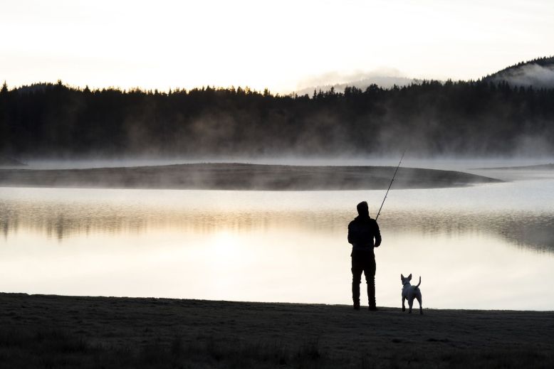 MSD i Norge | MSD Norge